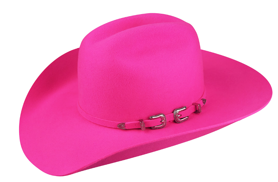 BAILEY Punchy Cowboy Hat – Alberta Boot