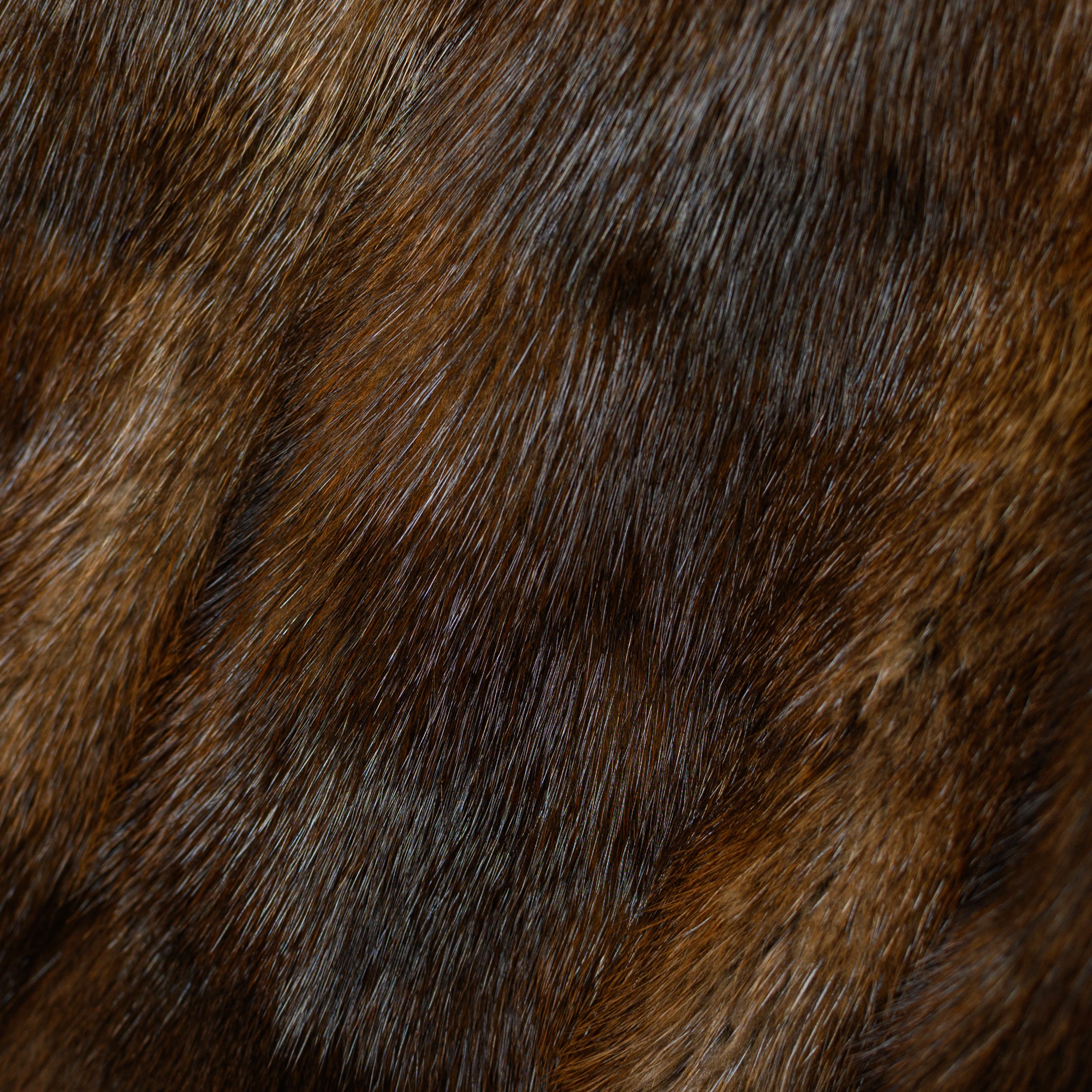 MORRIS KAYE & SONS Muskrat Vest – Alberta Boot