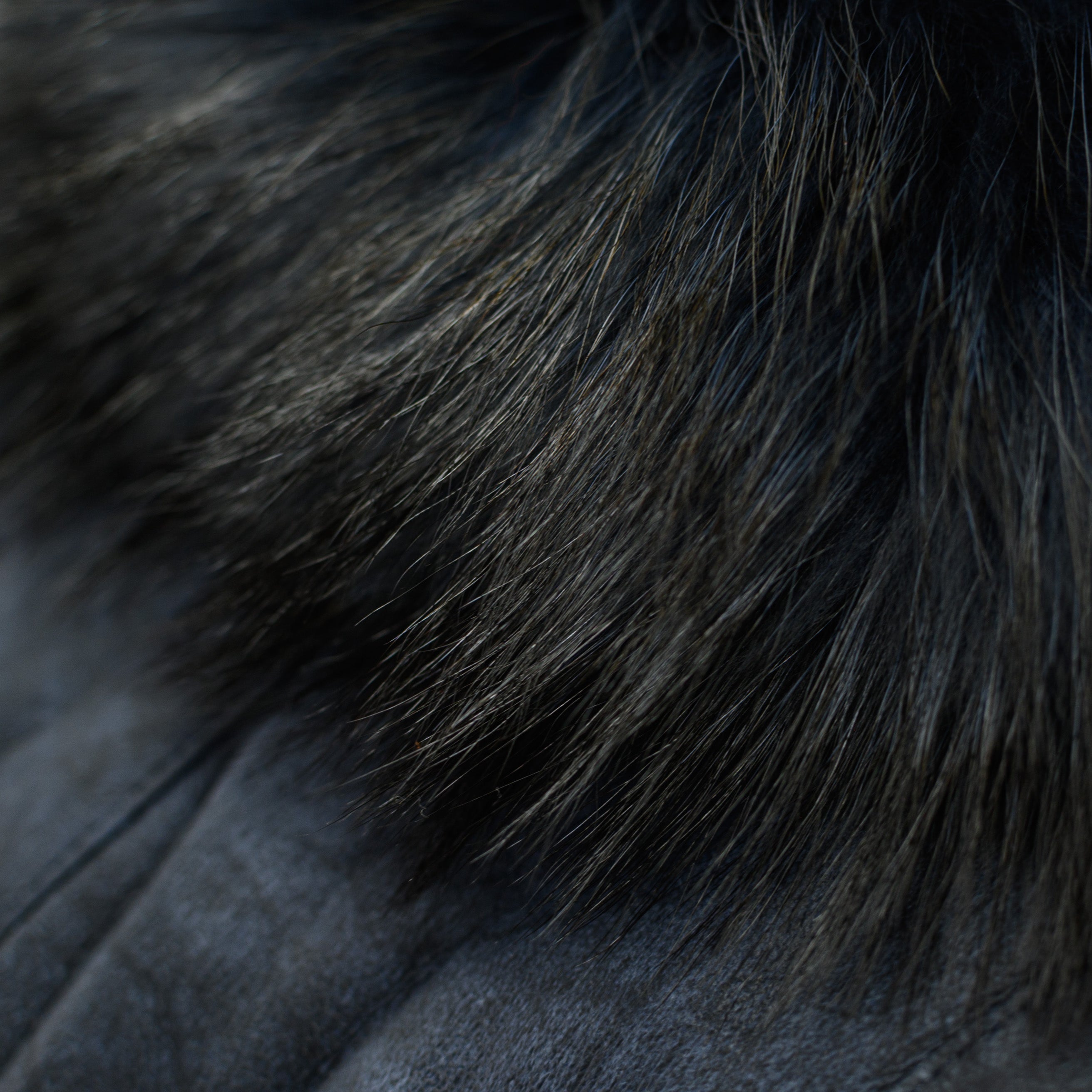 MORRIS KAYE & SONS Shearling/Raccoon Vest – Alberta Boot