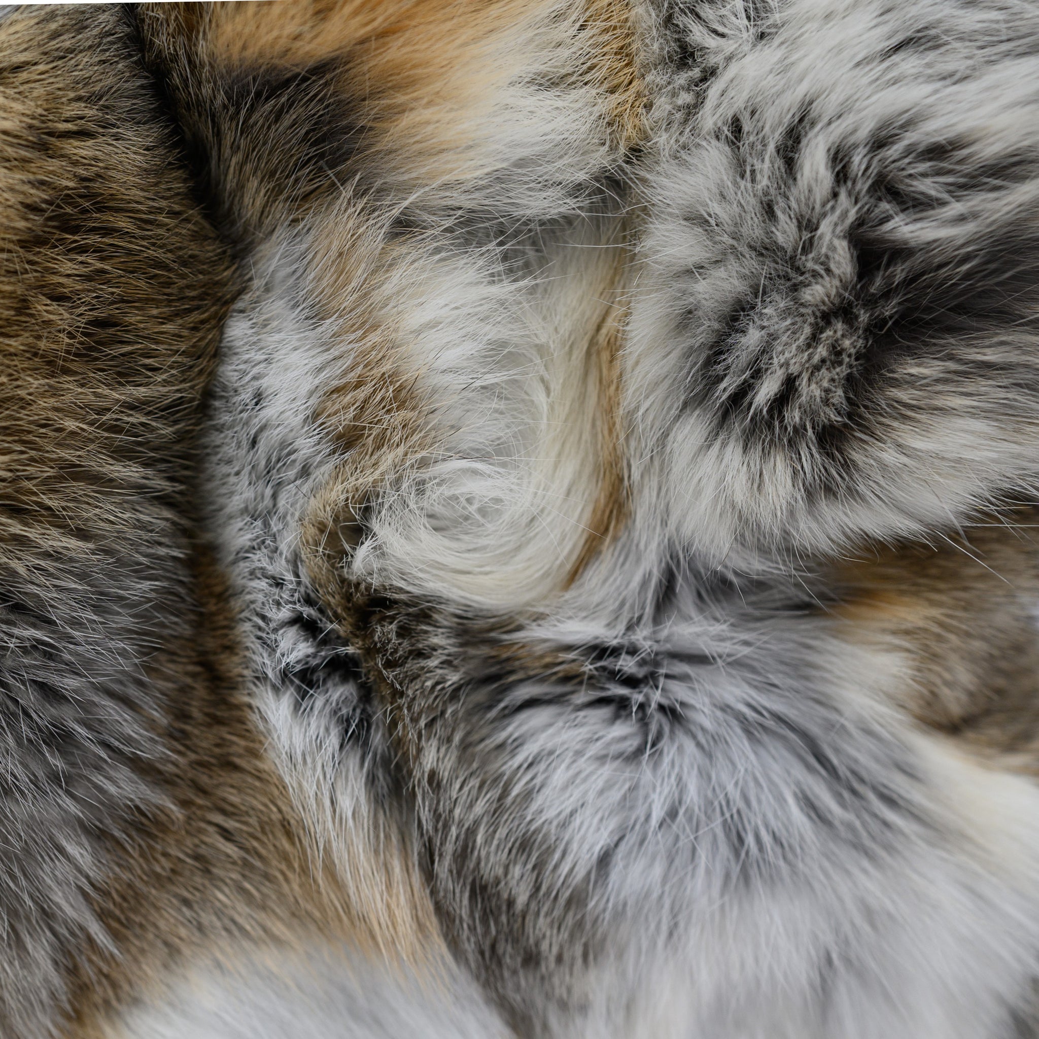 MORRIS KAYE & SONS Rabbit Hoodie Jacket – Alberta Boot