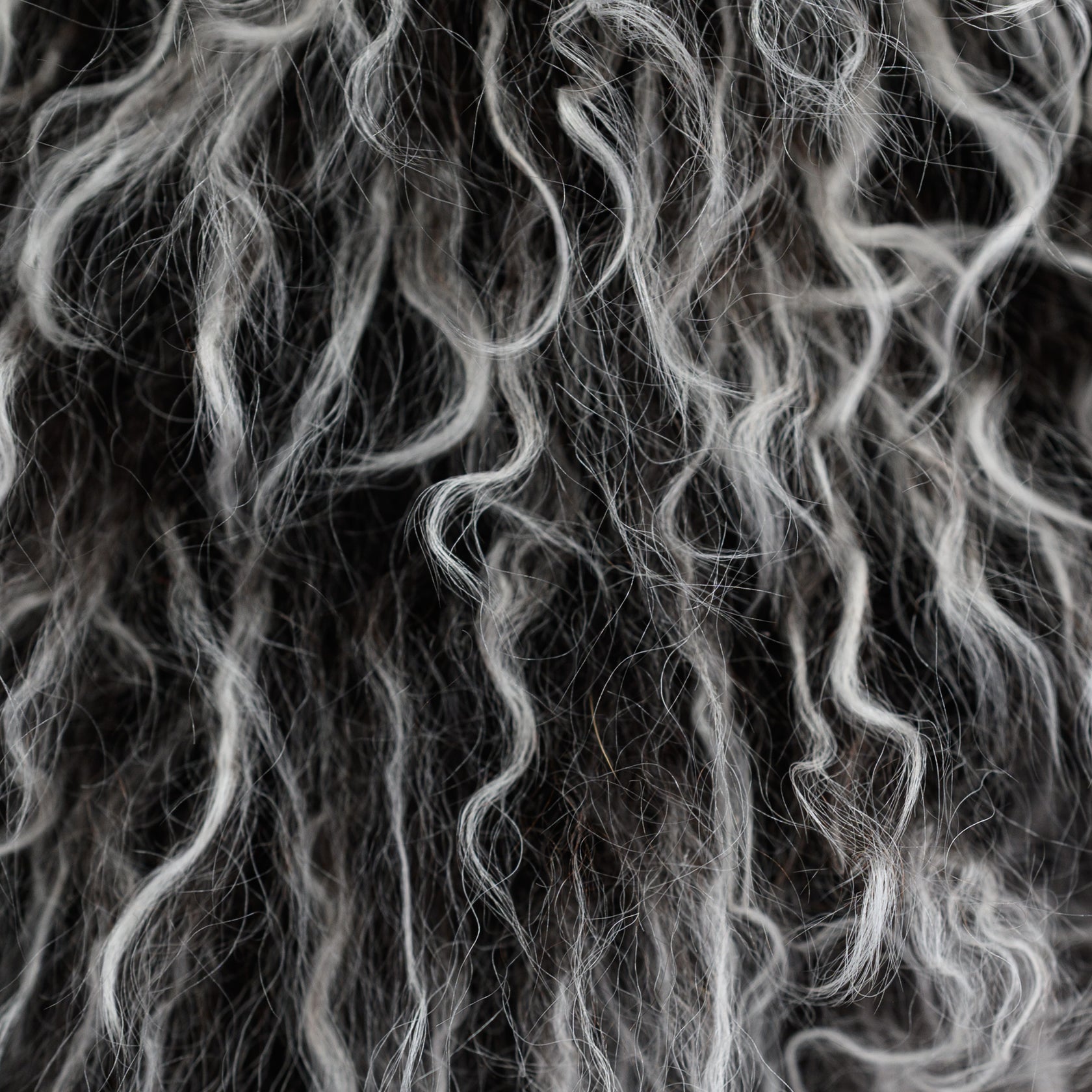 MORRIS KAYE & SONS Rabbit/Lamb Jacket – Alberta Boot